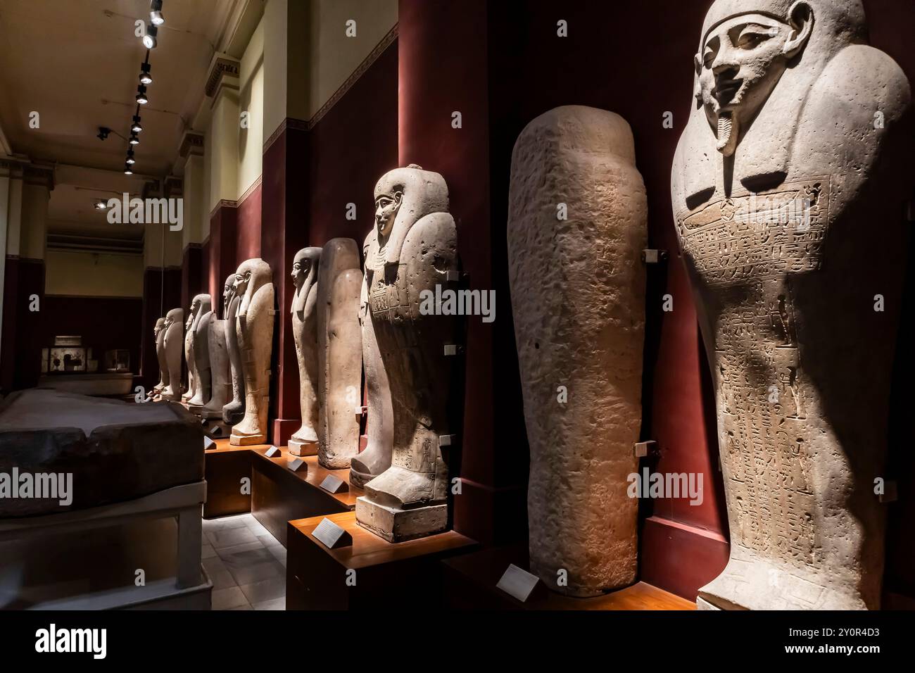 Egyptian Museum(Cairo museum), Display of stone carving sarcophagi with ...
