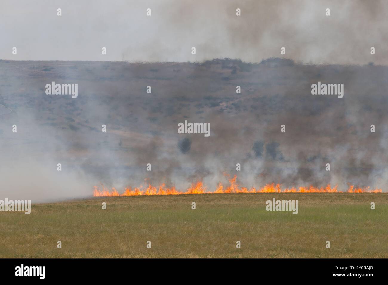 Wild fires are major rural hazards, especially in grasslands. Grass ...