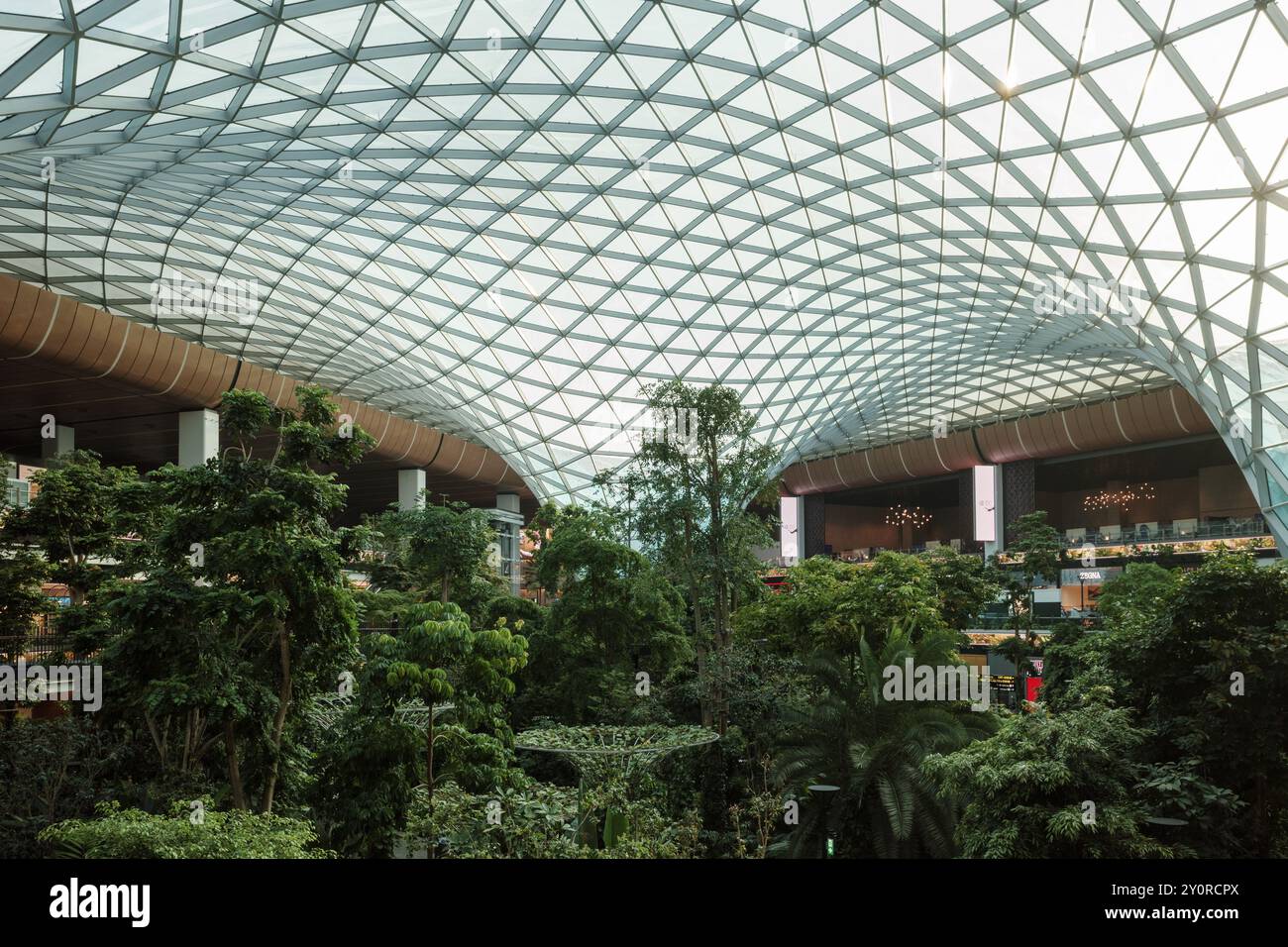 Doha, Qatar - 29 August 2024: The Orchard, Doha Airport’s Indoor ...