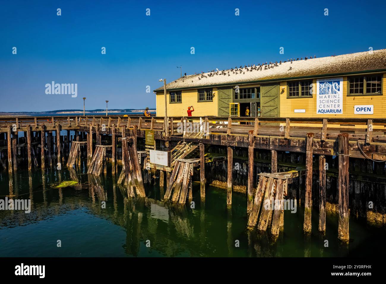 Port Townsend Marine Science Center, Washington State, USA Stock Photo ...