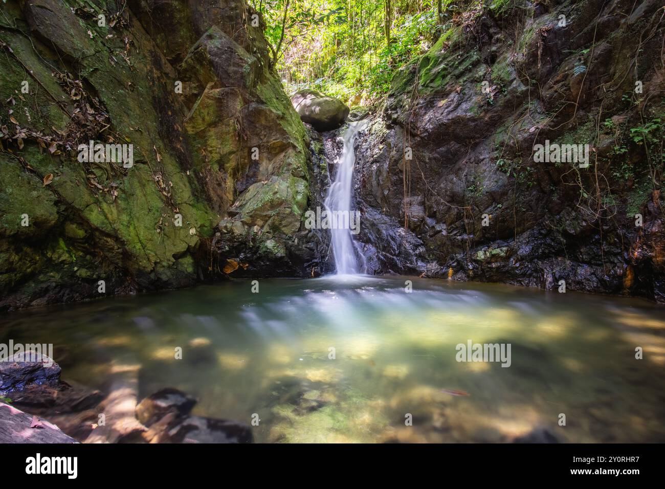 Green clear green vegetation hi-res stock photography and images - Alamy