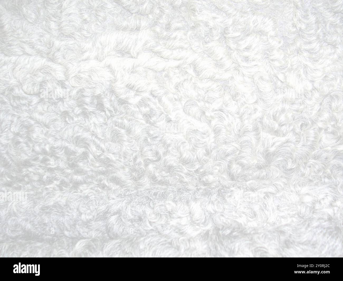 Delicate, light fur structures of a rare, antique Persian fur in ...