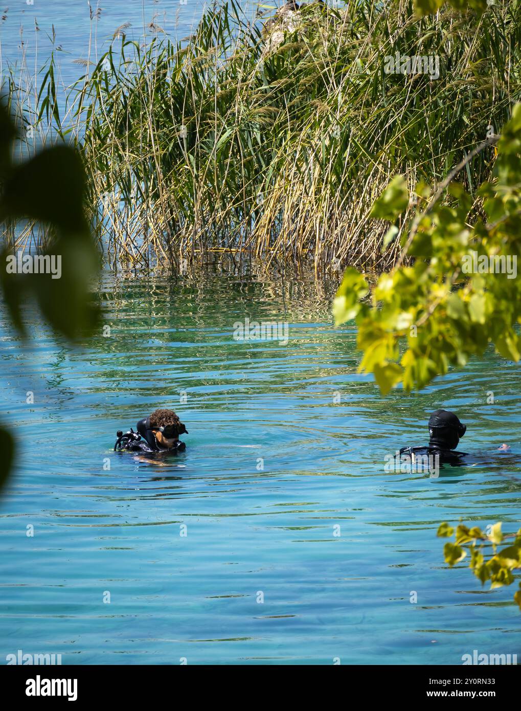Diver in scuba certification hi-res stock photography and images - Alamy