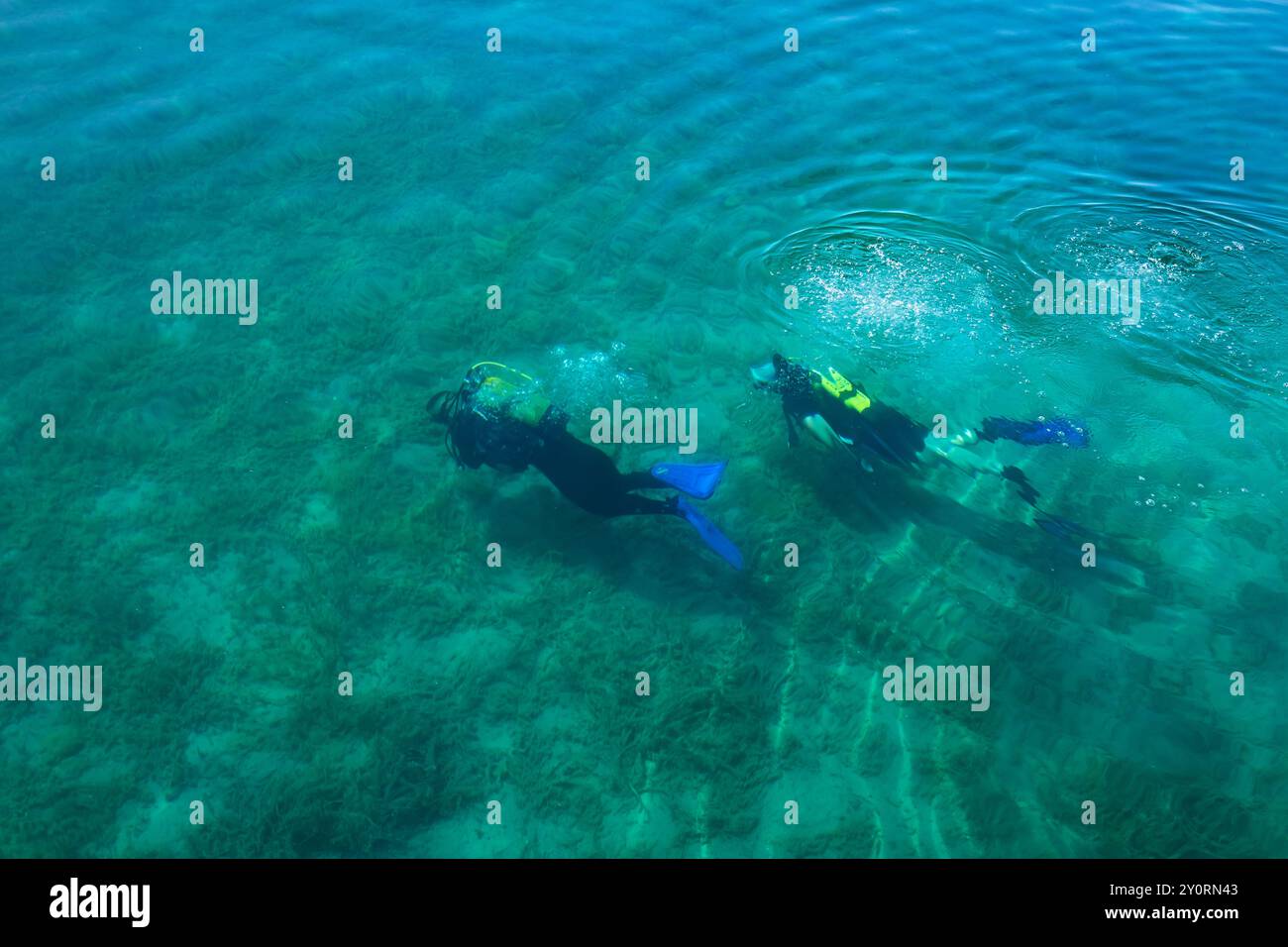 divers in black scuba diving suits, man and a woman with oxygen bottles ...