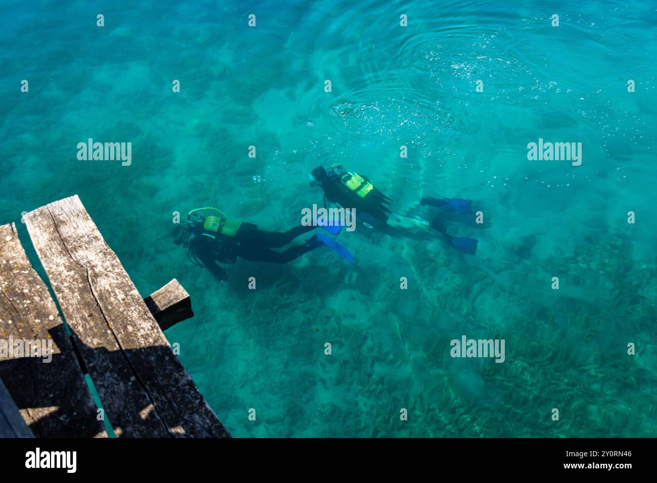 divers in black scuba diving suits, man and a woman with oxygen bottles ...