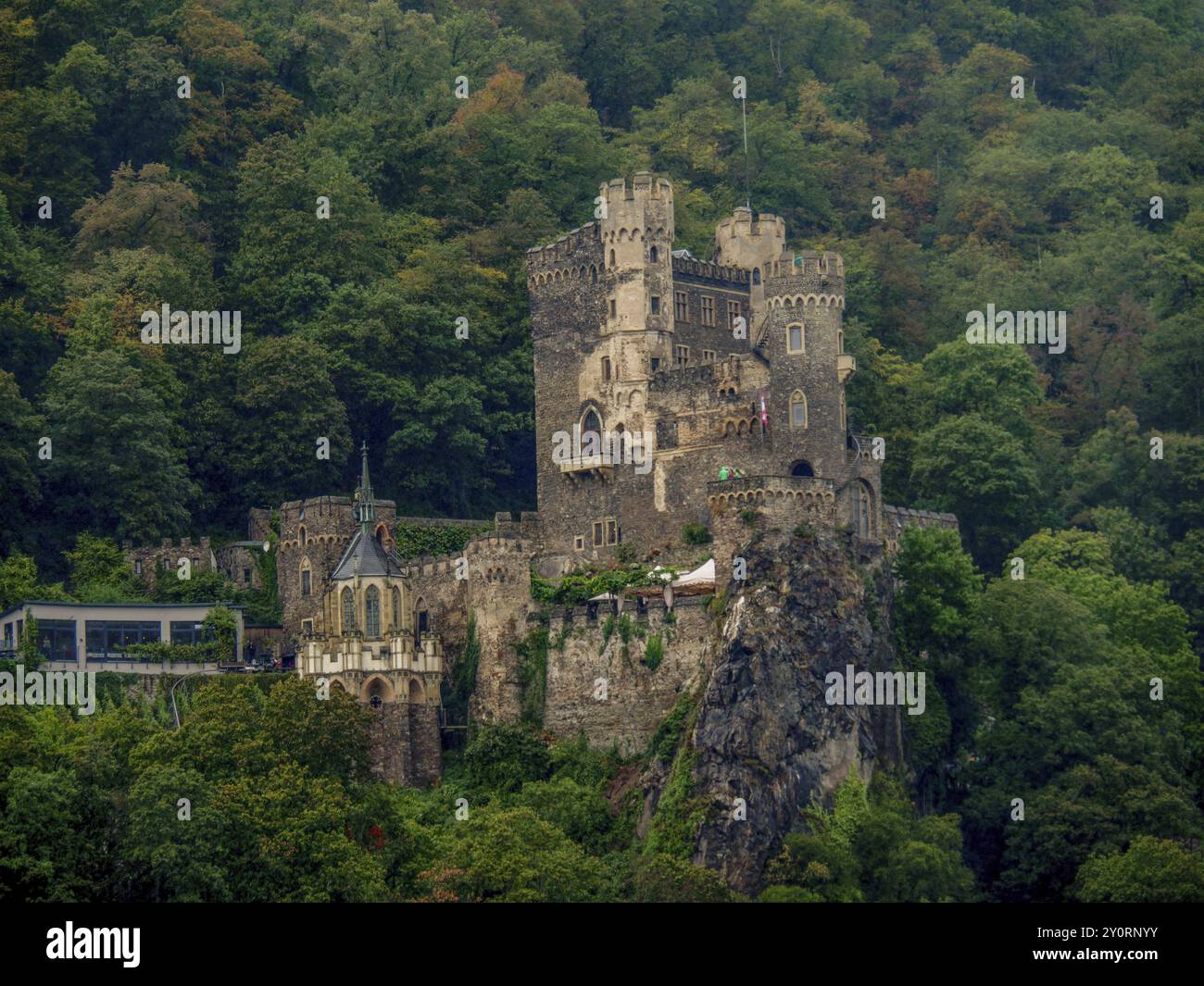 Medieval castle on a rock surrounded by dense forest, bingen, rhine ...