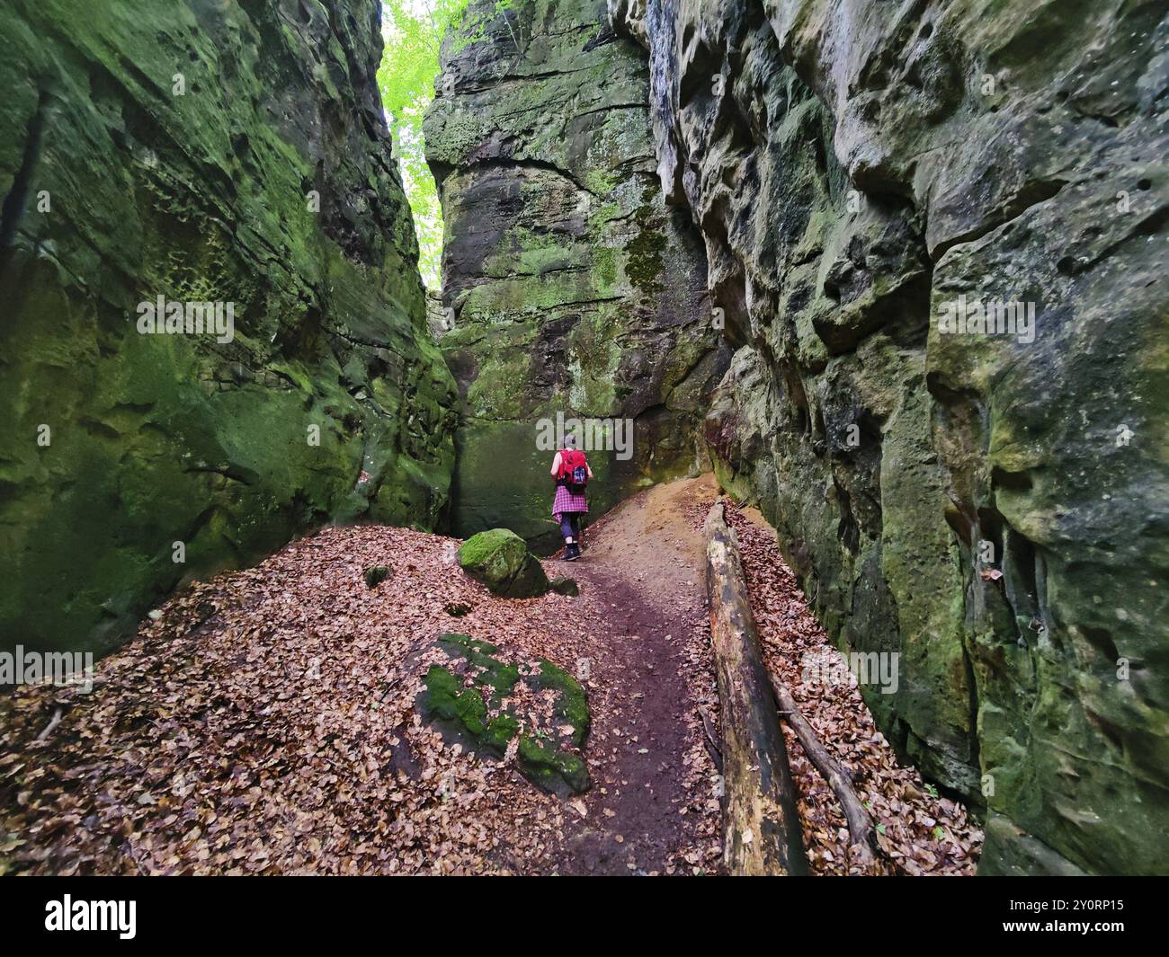 Imposing rocky landscapes in the unspoilt forest, Mullerthal Trail ...