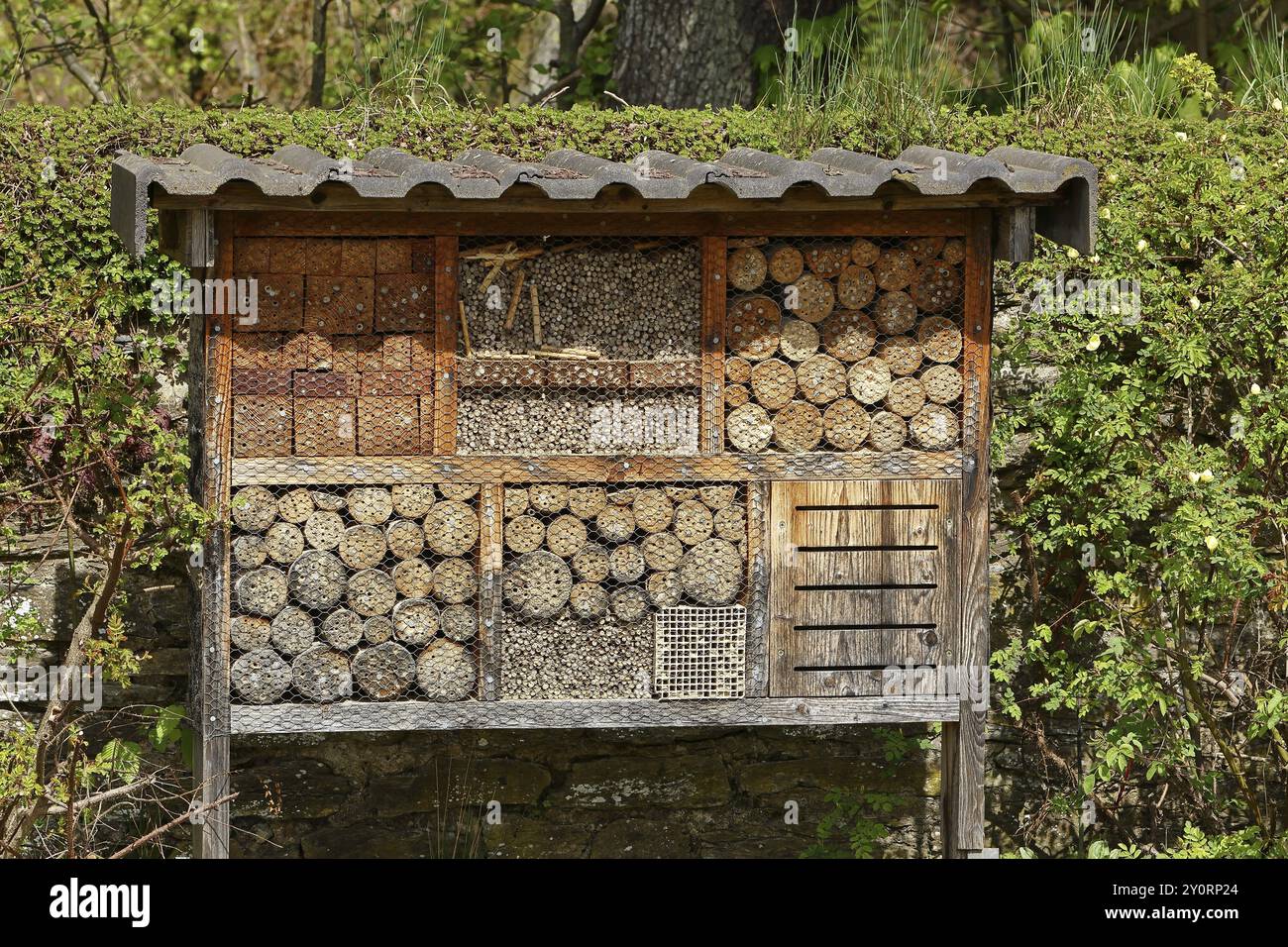 Insect hotel for solitary bees and artificial nesting site for other ...