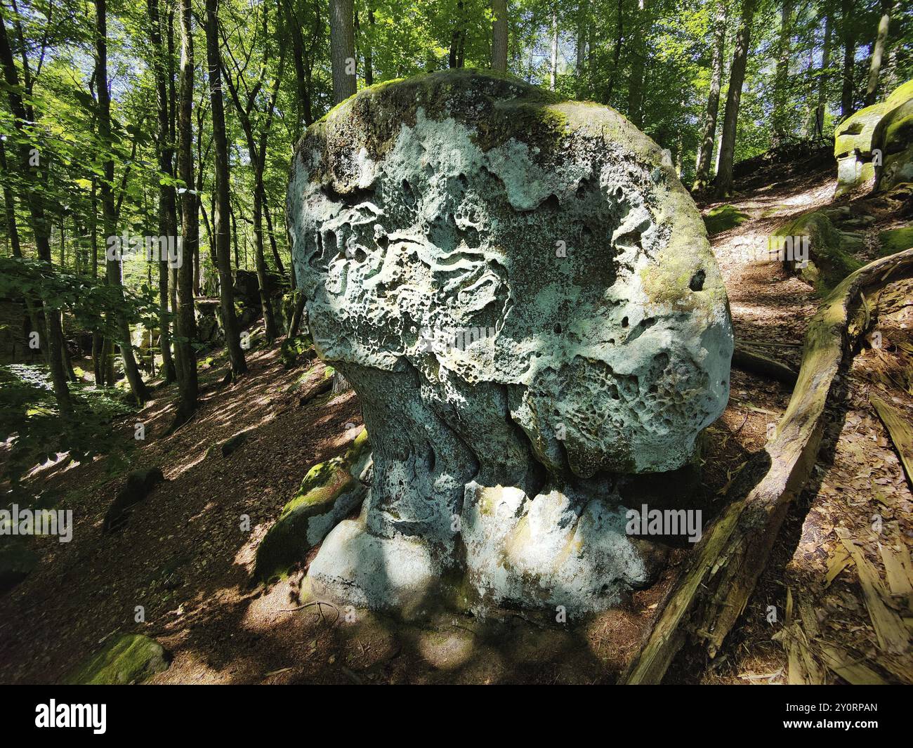 Suedeifel nature parc hi-res stock photography and images - Alamy