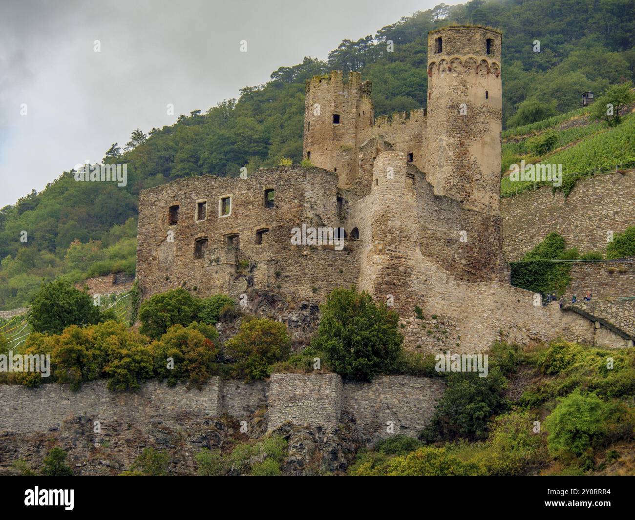 An old castle ruin on a wooded hill with stone walls and towers, bingen ...