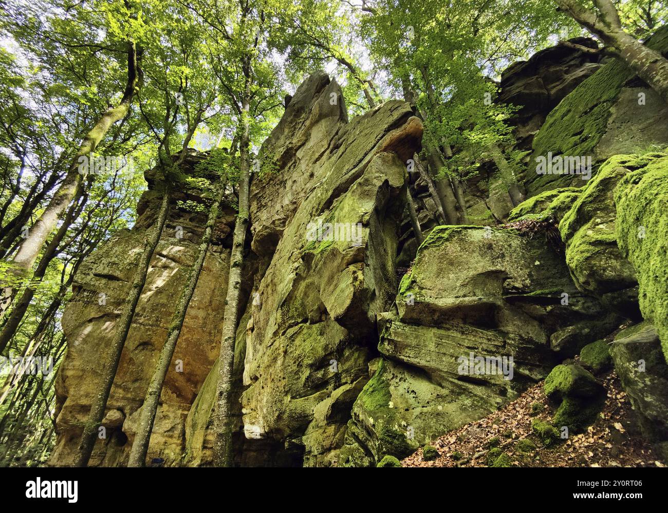 Imposing rocky landscapes in the unspoilt forest, Mullerthal Trail ...