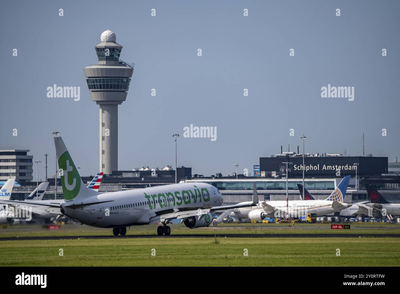 Transavia Boeing 737-800, aircraft landing at Amsterdam Schiphol ...