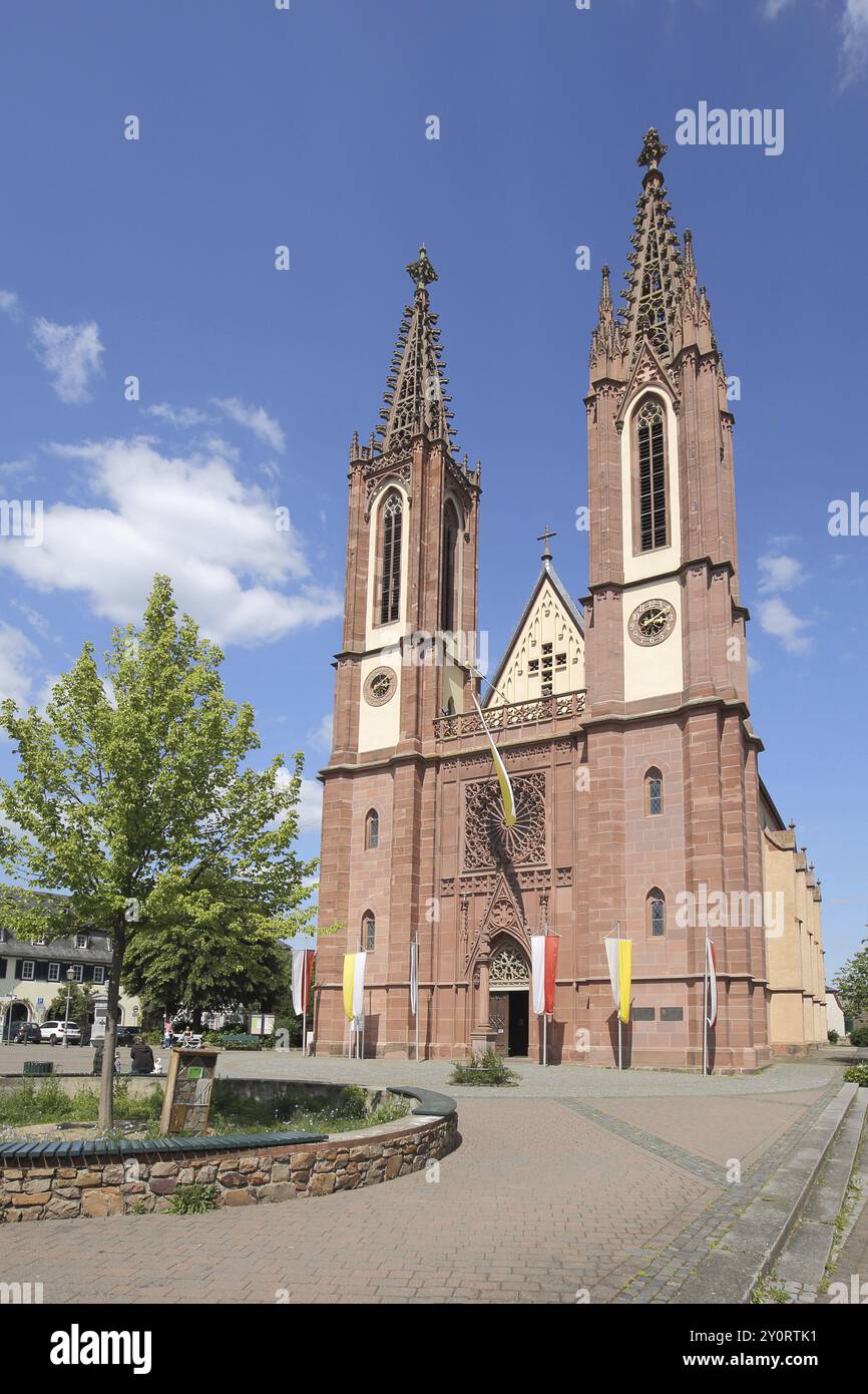Late Gothic Rheingau Cathedral and landmark, twin towers, Bischof Blum ...