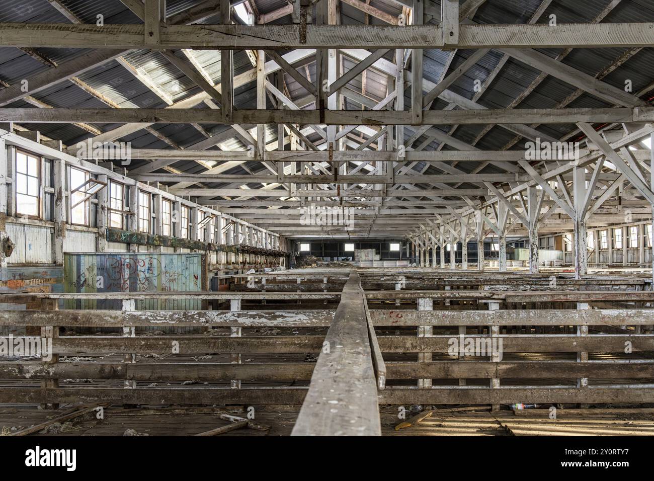 Sheepfolds inside the shearing shed, Estancia San Gregorio, Puente Alto ...