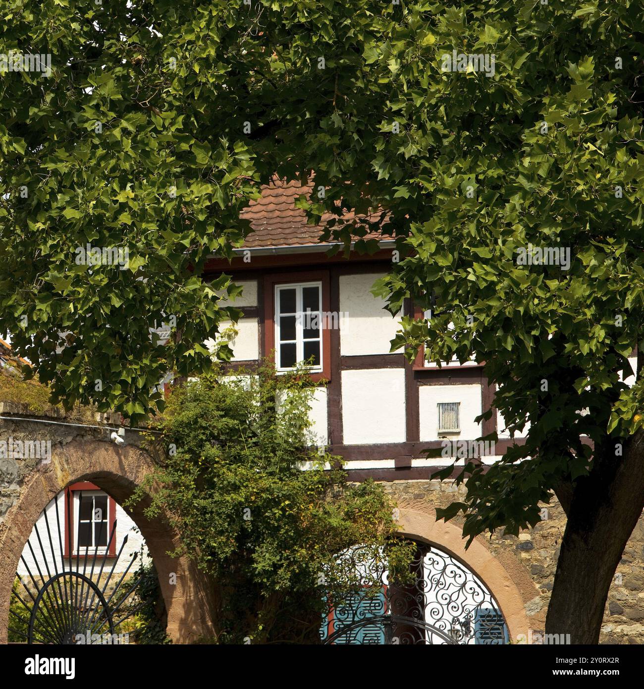 Interior development in the castle grounds of Friedberg Castle, one of ...