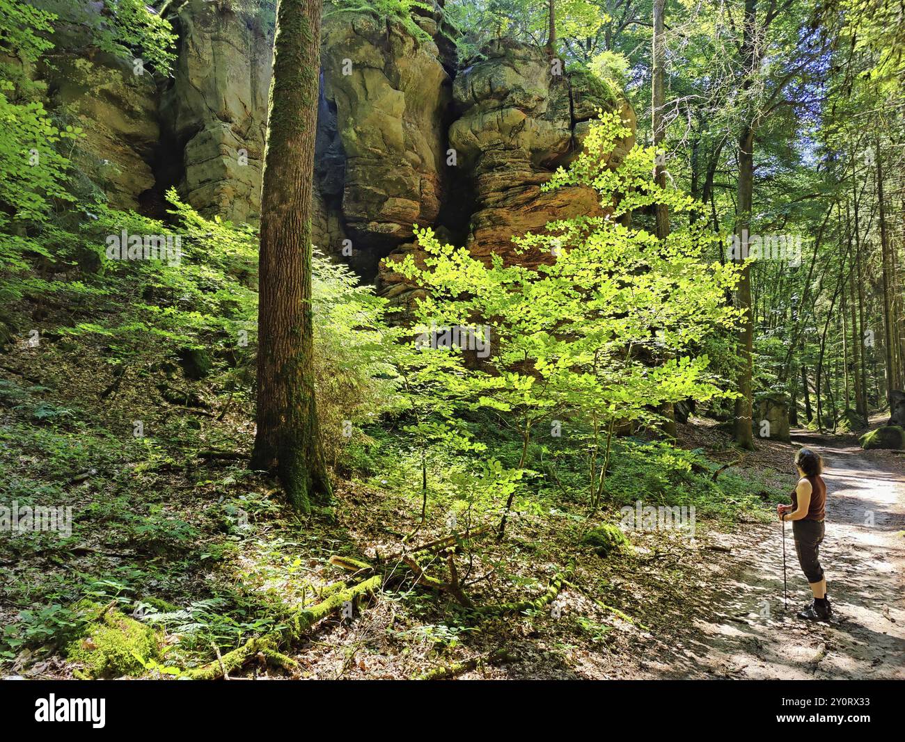Bizarre red sandstone rock landscapes in the Sauerschweiz, Southern ...