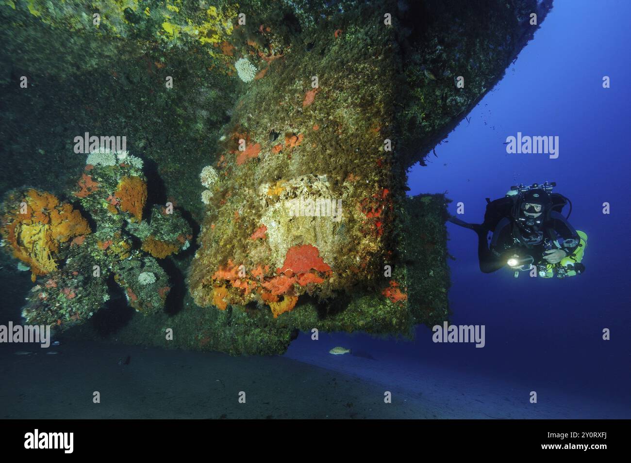 Diver with special equipment Stages additional diving cylinders Diving ...