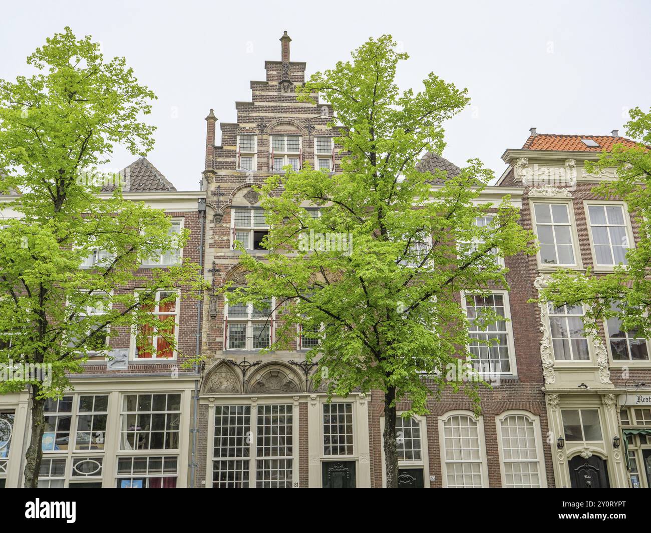 Classic historic building with green trees and decorative windows, Delft, Netherlands Stock ...
