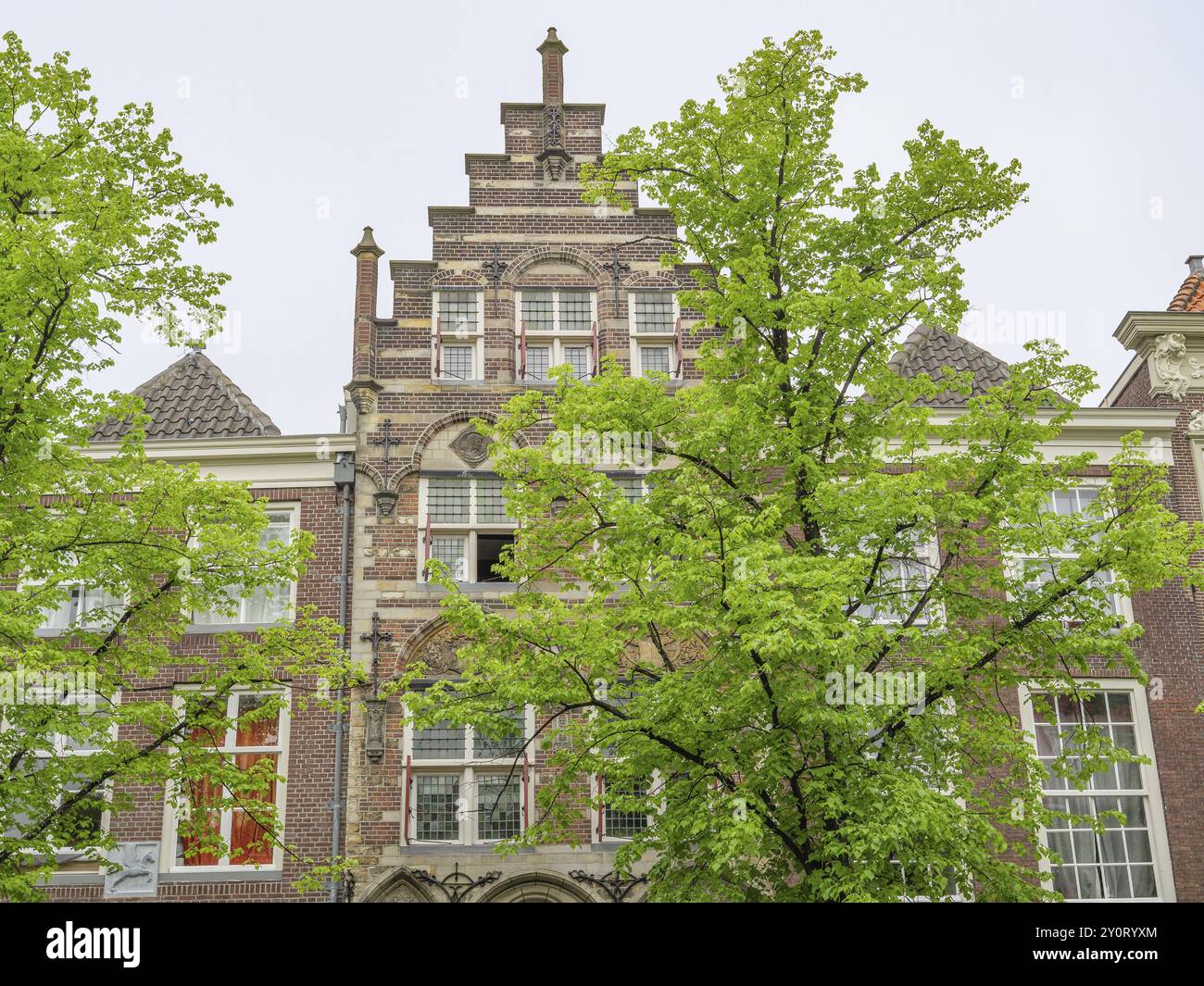Classic historic building with green trees, decorative windows and roof ...