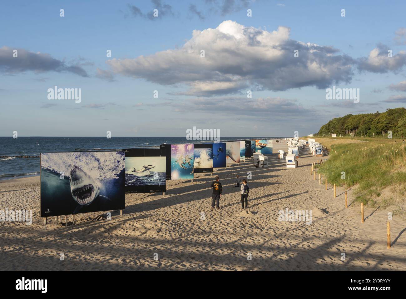 Stands with shark photos from the 2024 Environmental Photo Festival in ...