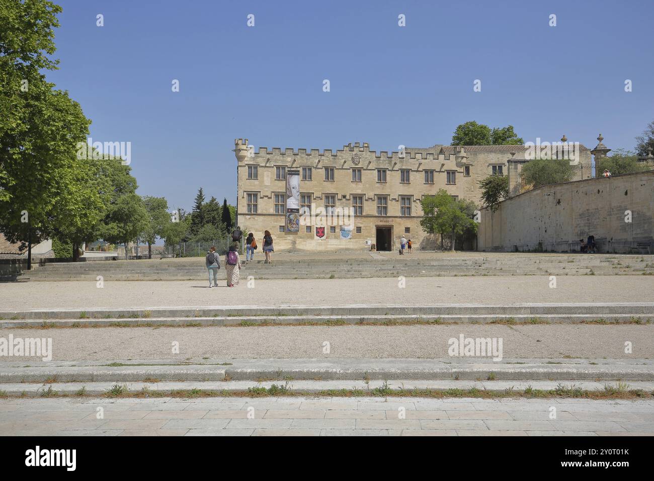 Musee du Petit Palais, Museum, Stairs, People, Place du Palais, Avignon ...