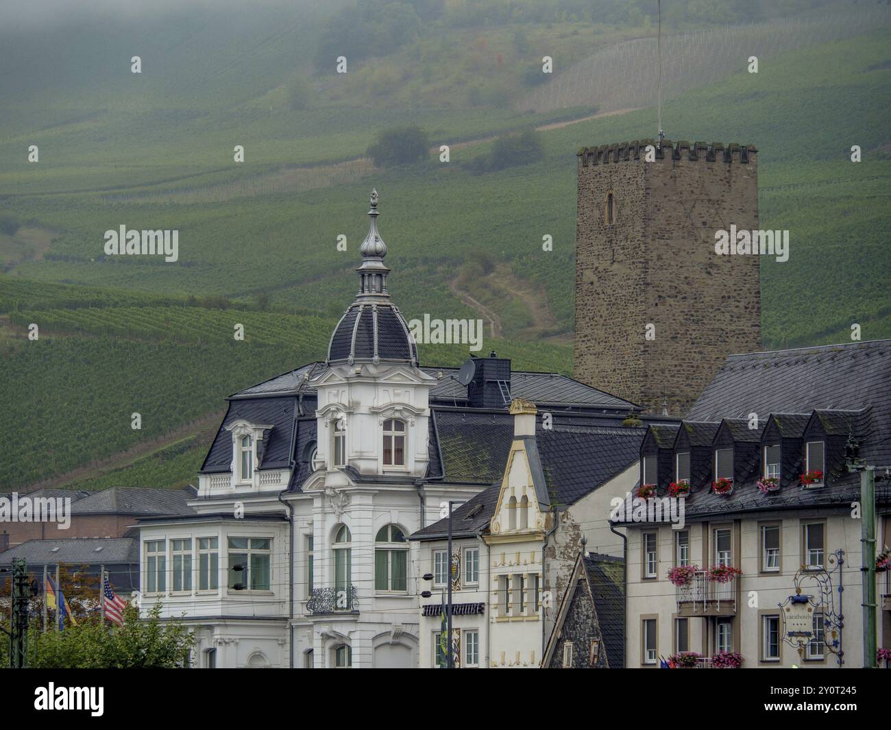 Historic buildings of a town in front of green vineyards, cloudy sky ...