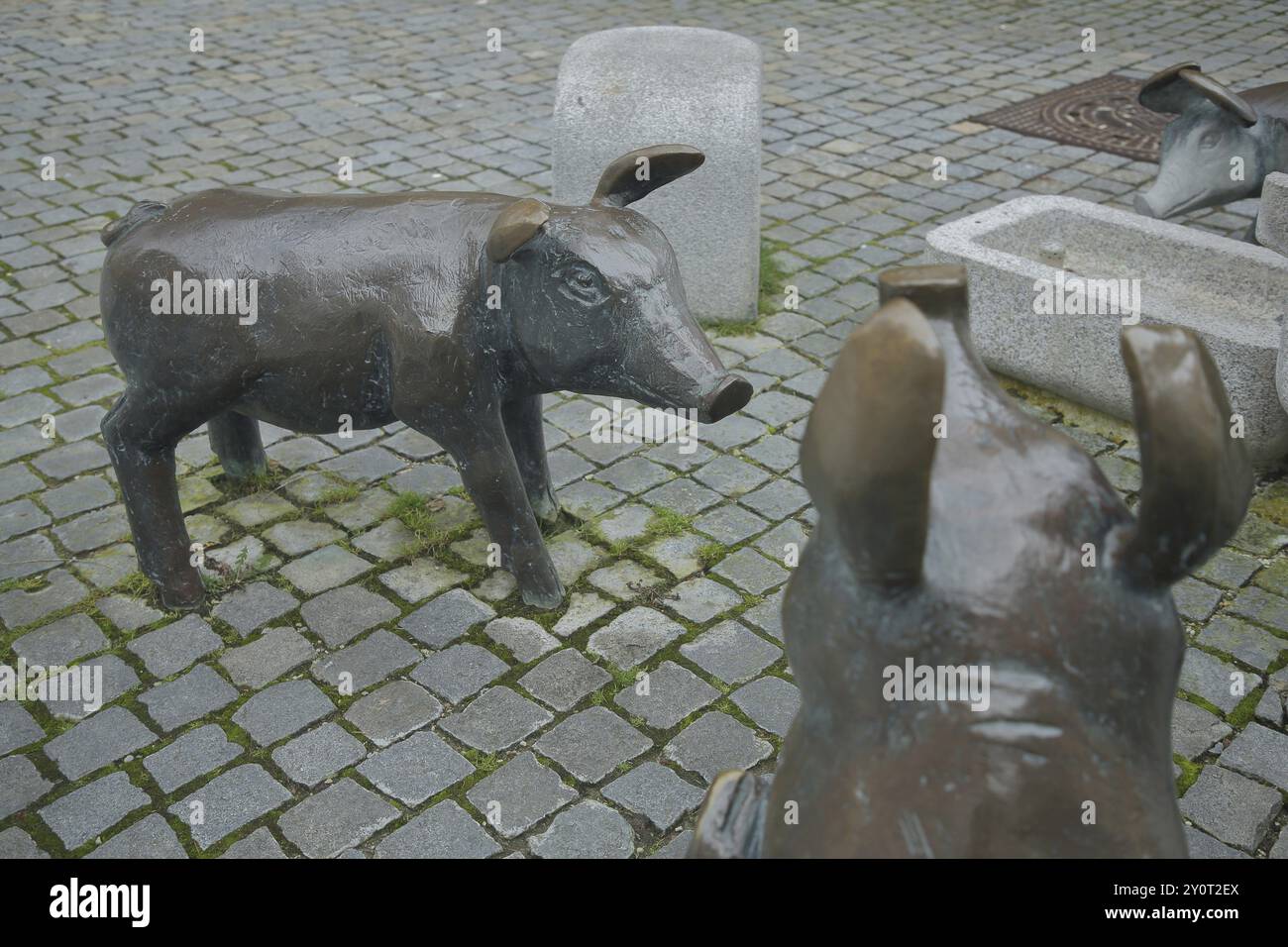 Sculptures at the piggy fountain with pig figures, bronze, detail, blur ...