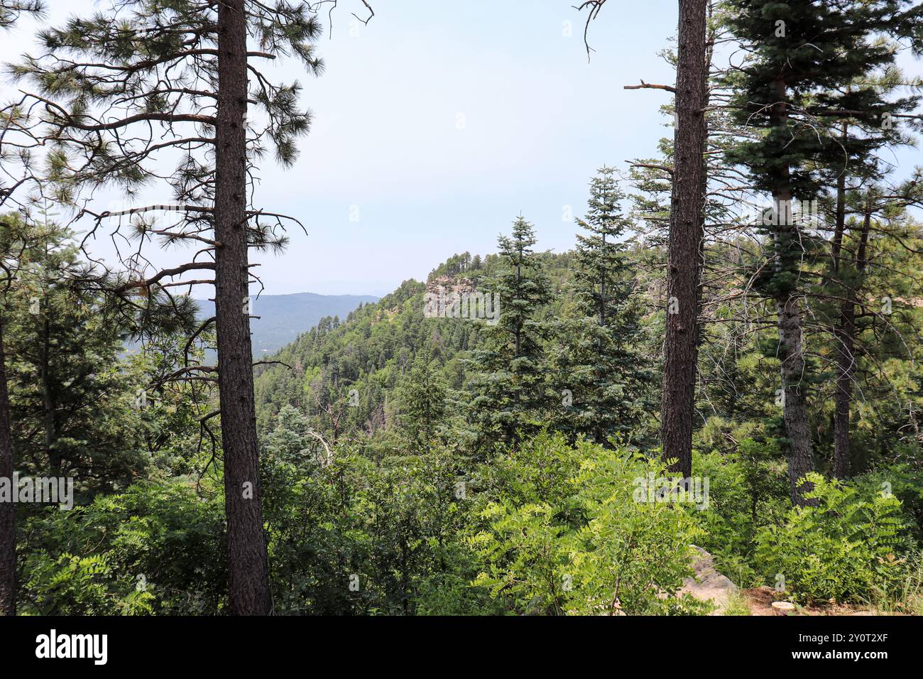 View of the mountains from the Mogollon visiters center east of Payson ...
