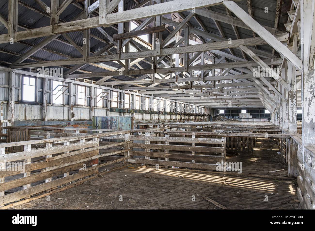 Sheepfolds inside the shearing shed, Estancia San Gregorio, Puente Alto ...