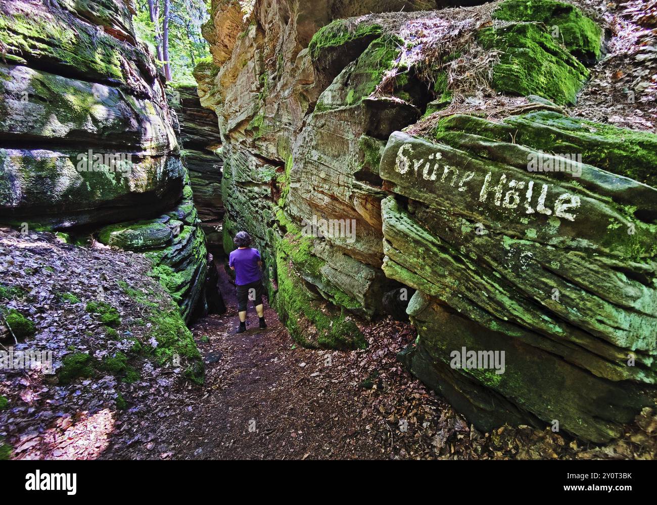 The Gruene Hoelle gorge, hiking trail in the red sandstone in the ...