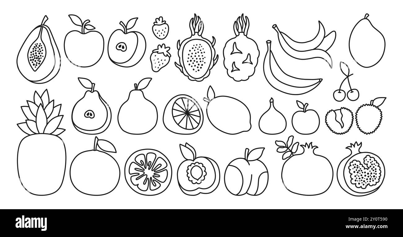Fruits or berries simple symbol set. Sliced doodle lemon orange apple ...