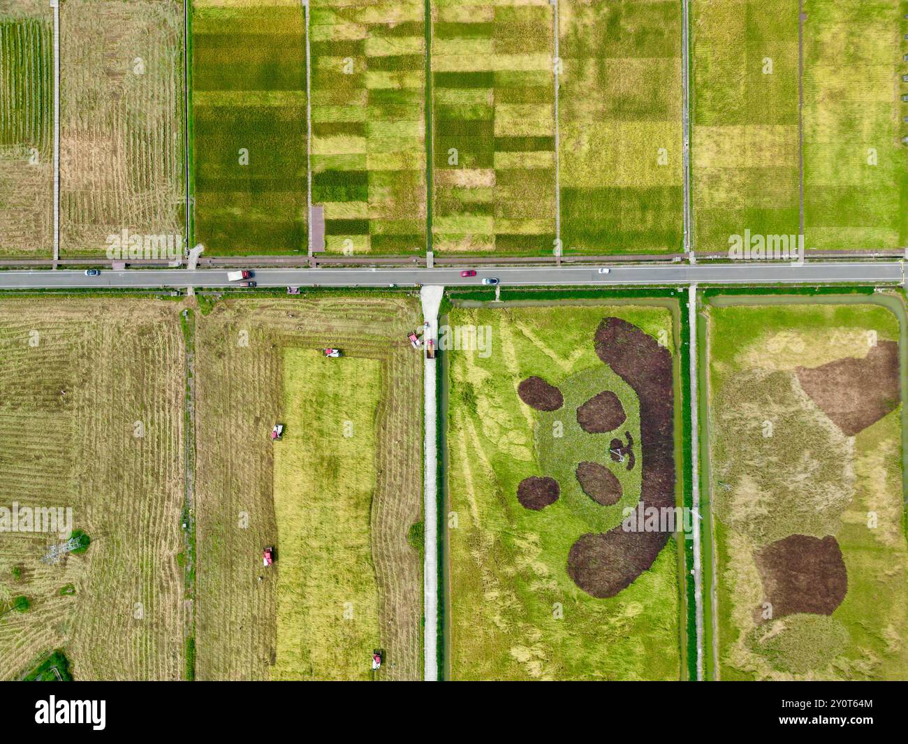 000 acres of demonstration rice fields hi-res stock photography and ...