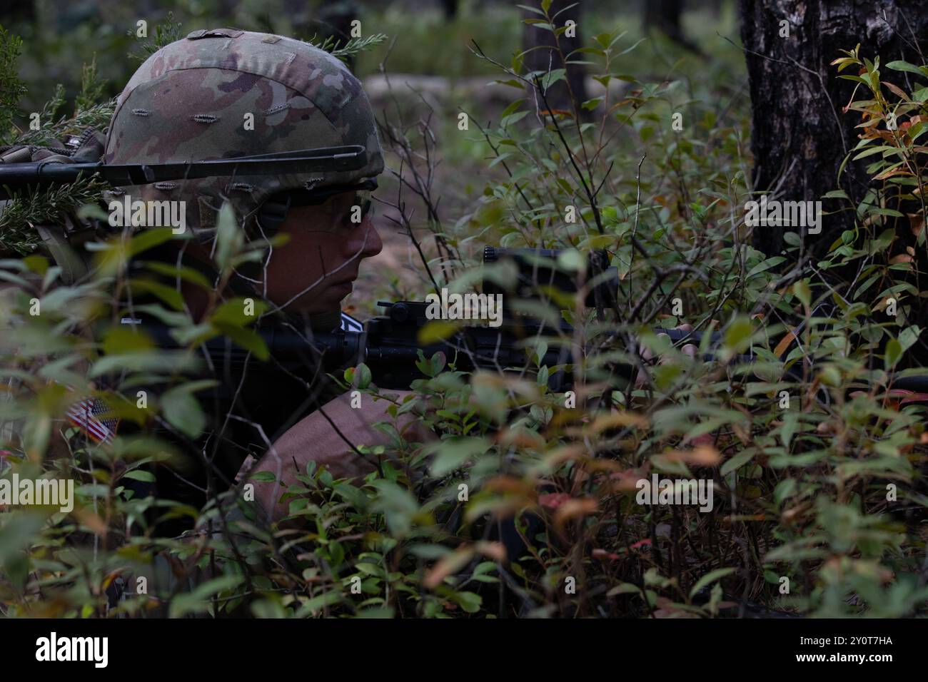 During military competition one hi-res stock photography and images - Alamy