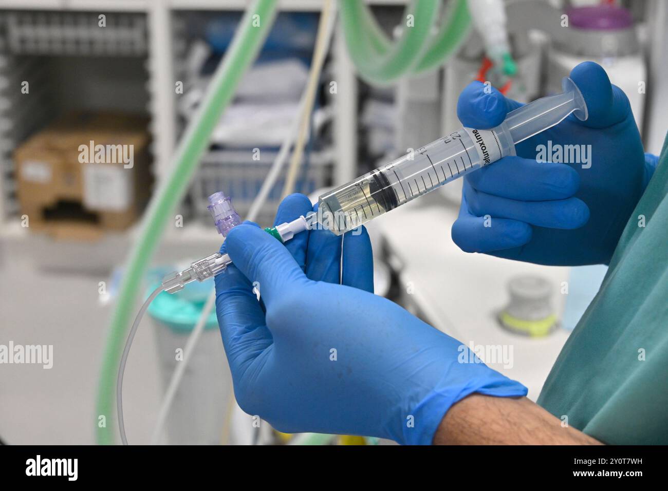 Healthcare professional a preparing a syringe for a transcatheter ...