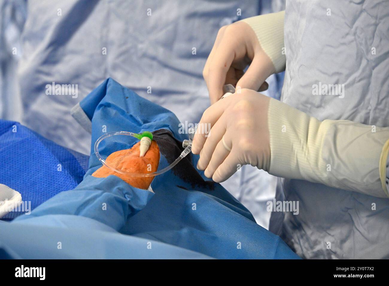 Operating room in a hospital during a transcatheter aortic valve ...
