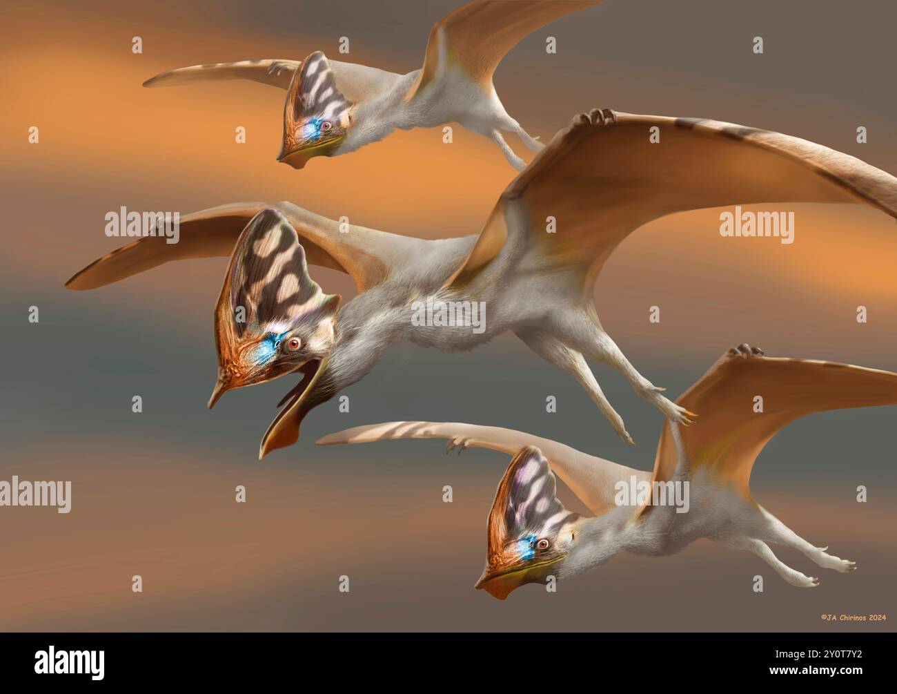 Illustration of Brazilian pterosaurs (Tapejara wellnhoferi) from the ...