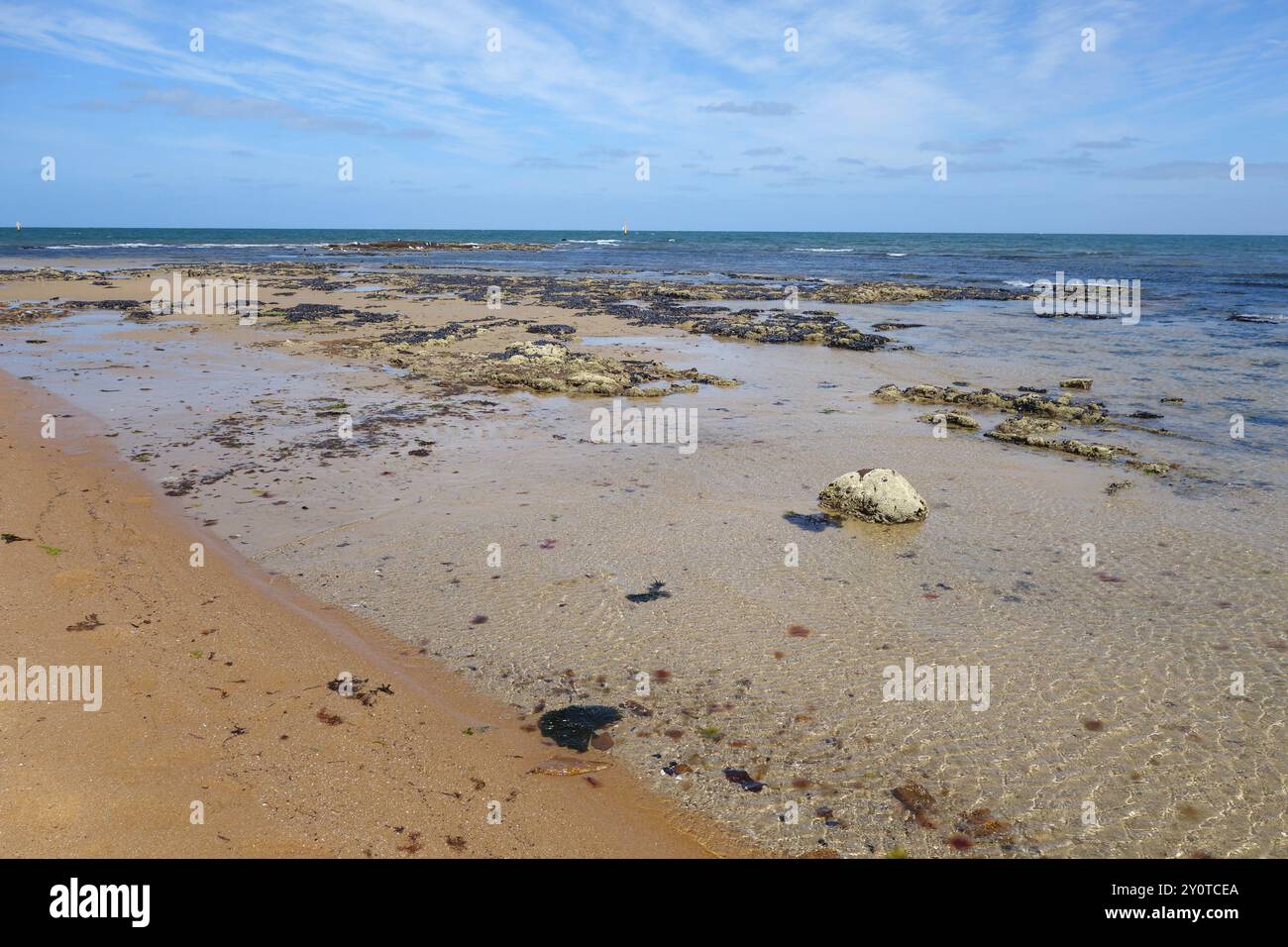 Tide pool and mussels on beach, Brighton Beach, Melbourne, Australia ...