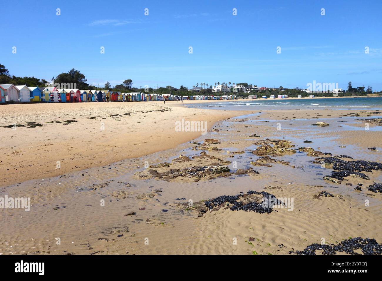 Tide pool and mussels on beach, Brighton Beach, Melbourne, Australia ...