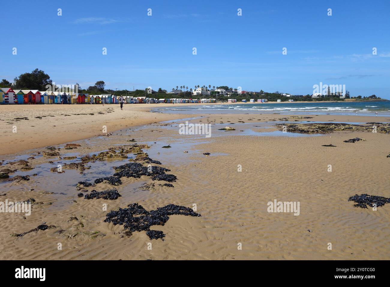 Tide pool and mussels on beach, Brighton Beach, Melbourne, Australia ...