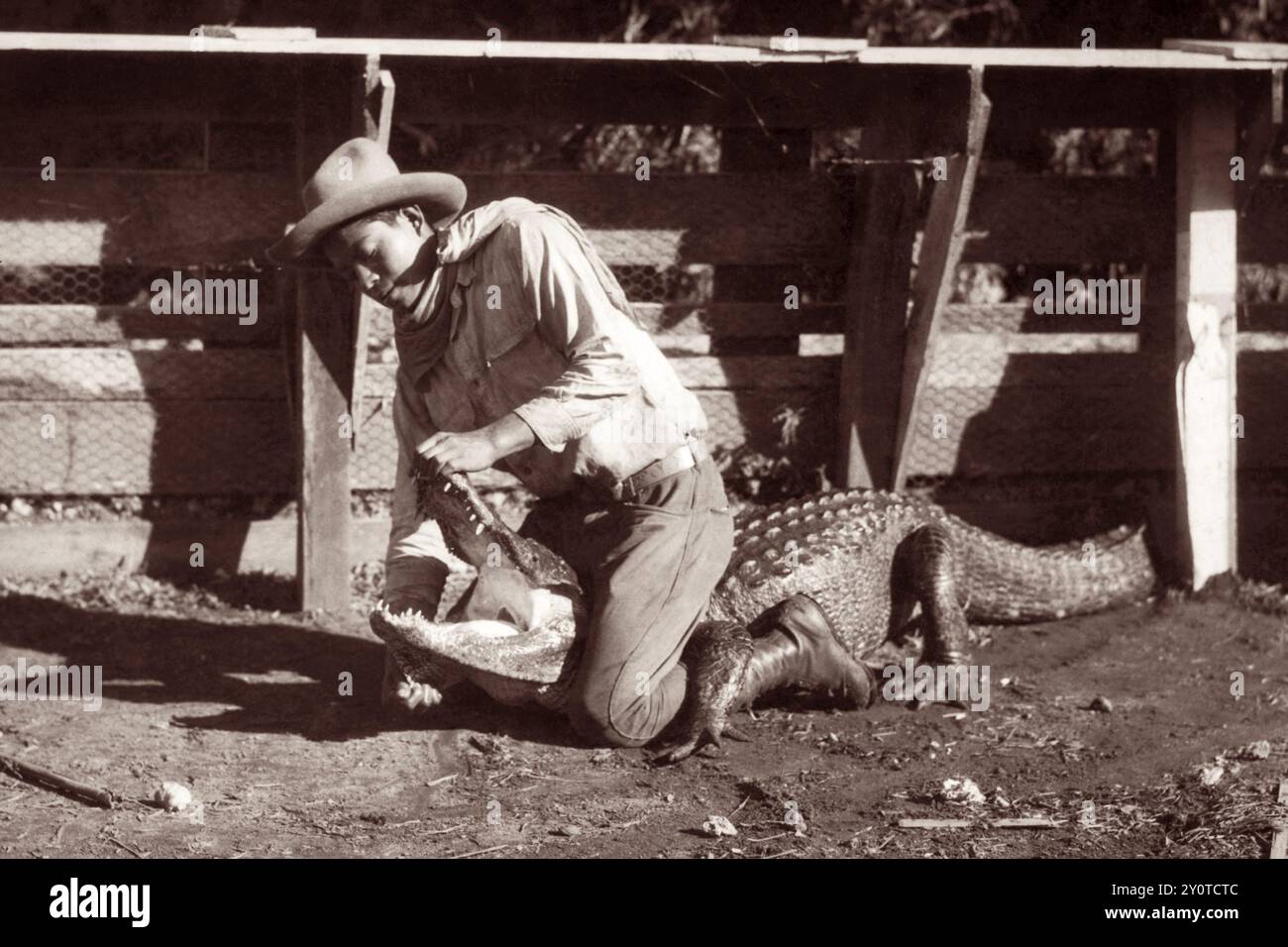 Seminole alligator wrestler at Musa Isle Seminole Indian Village, a ...