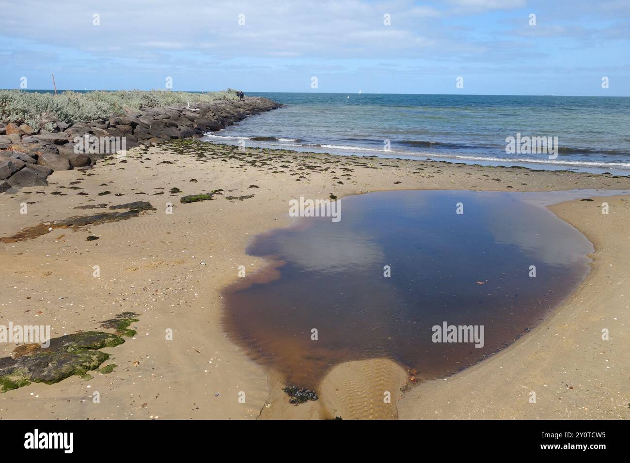 Tide pool and mussels on beach, Brighton Beach, Melbourne, Australia ...