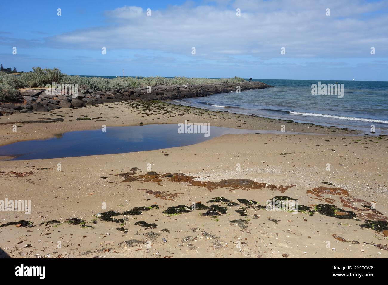 Tide pool and mussels on beach, Brighton Beach, Melbourne, Australia ...