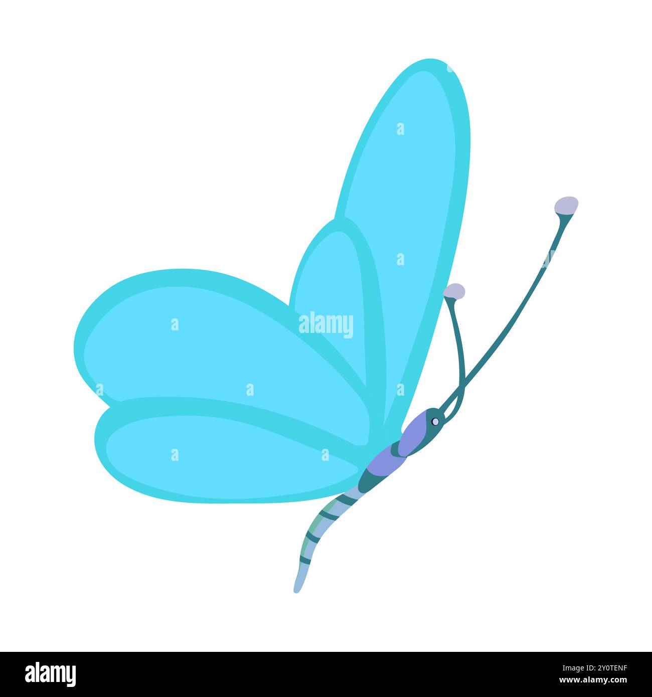 Tropical insects Cut Out Stock Images & Pictures - Alamy