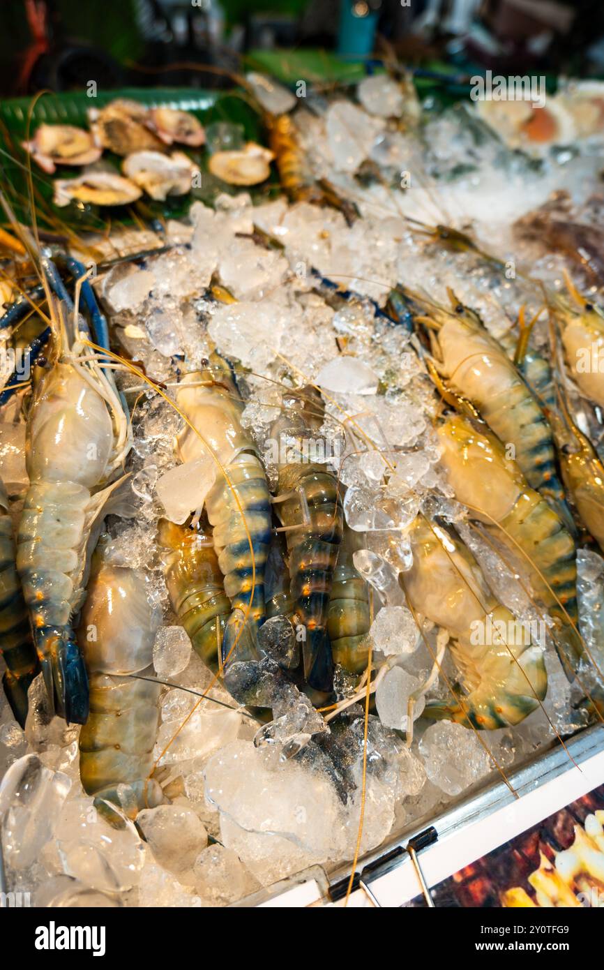 Fresh raw prawn, premium grade, on display at seafood market in Bangkok ...