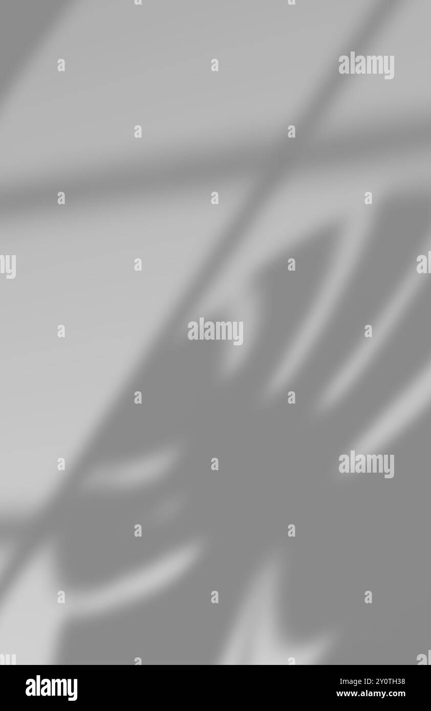 Overlay backdrop with a window frame shadow using as background Stock ...