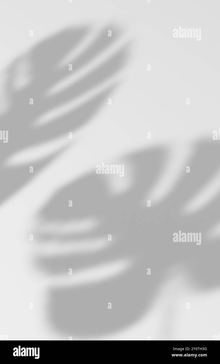 Overlay backdrop with a window frame shadow using as background Stock ...