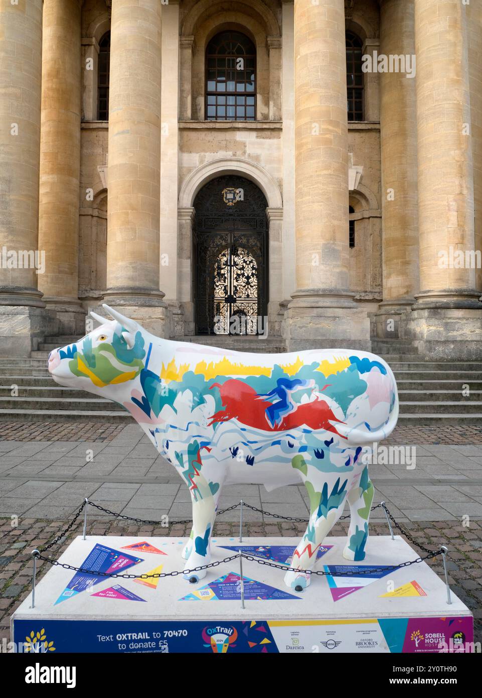 Cow sculpture in Oxtrrail 2024, Oxford. OxTrail 2024 is a public art ...