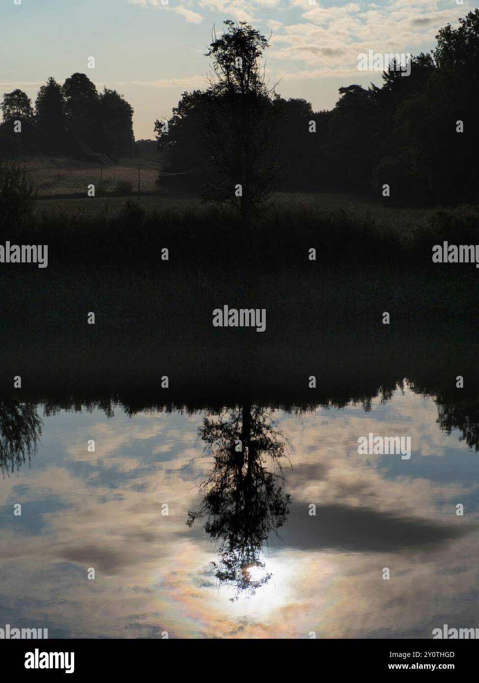 Tree and sun reflected in the Thames at Radley Boathouse. Founded in ...
