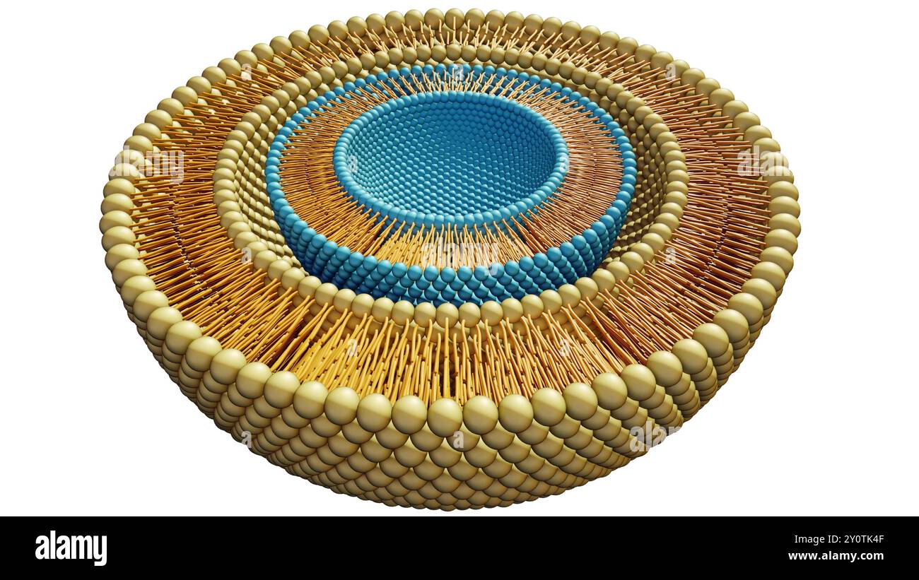 3d rendering of Liposomes within liposomes are known as multivesicular ...