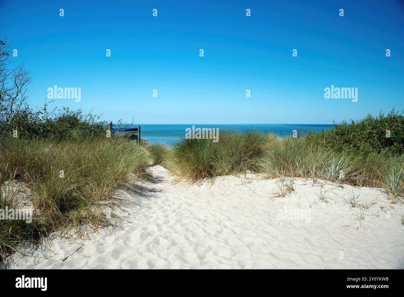 German Baltic Sea coast with sand dunes, grass, water and blue sky ...